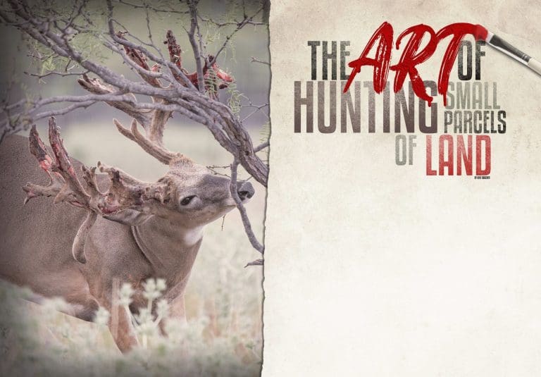 The Art of Hunting Small Parcels of Land - The Iowa Sportsman