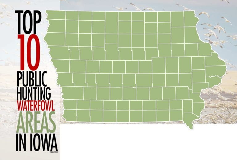 Top 10 Public Waterfowl Hunting Areas - The Iowa Sportsman