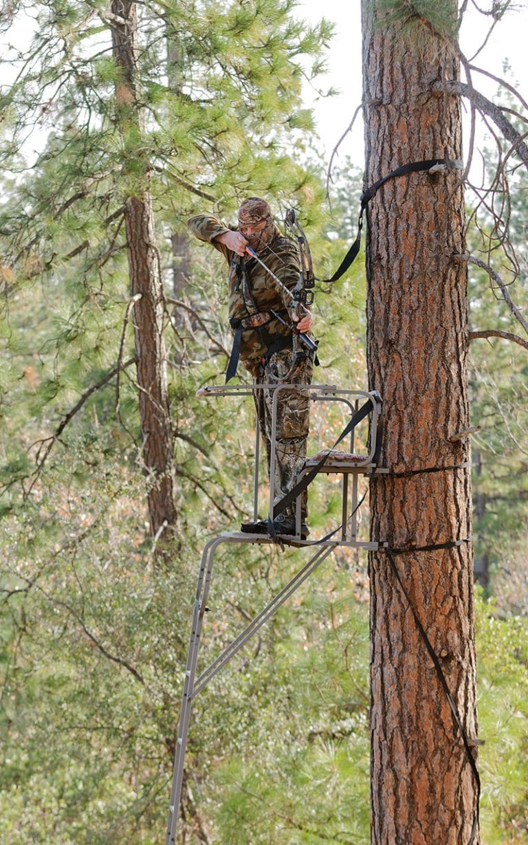 Treestand Safety - The Iowa Sportsman